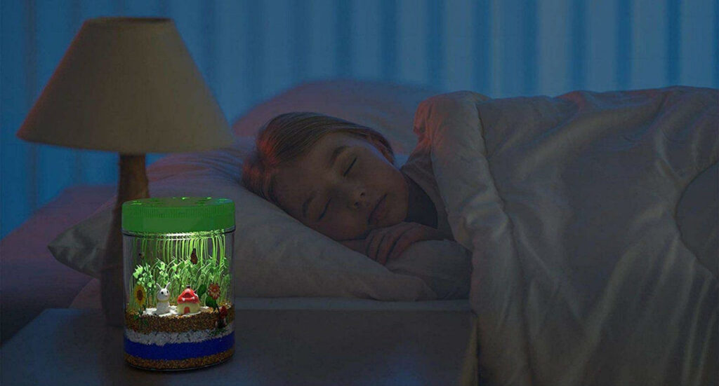 6 of the Best Light-Up Terrarium Kits Reviewed - The Moneywise Teacher