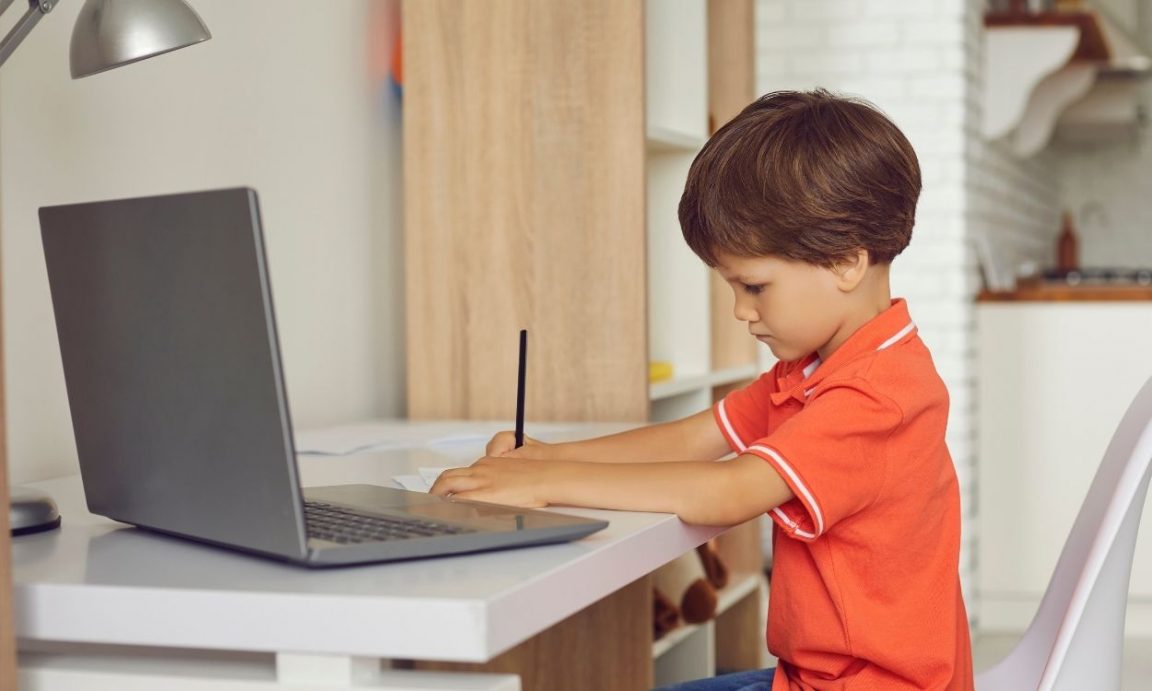 What are The Pros and Cons of Virtual Learning?