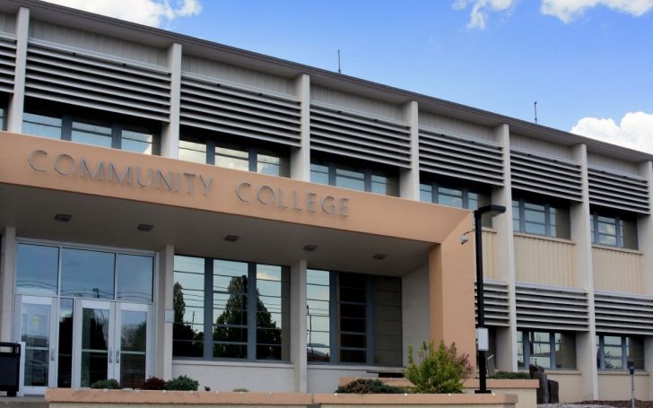 What Are the Different Types of Educational Institutions?