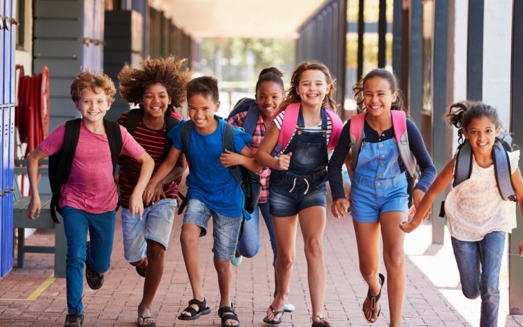 What Are the Different Types of Educational Institutions?