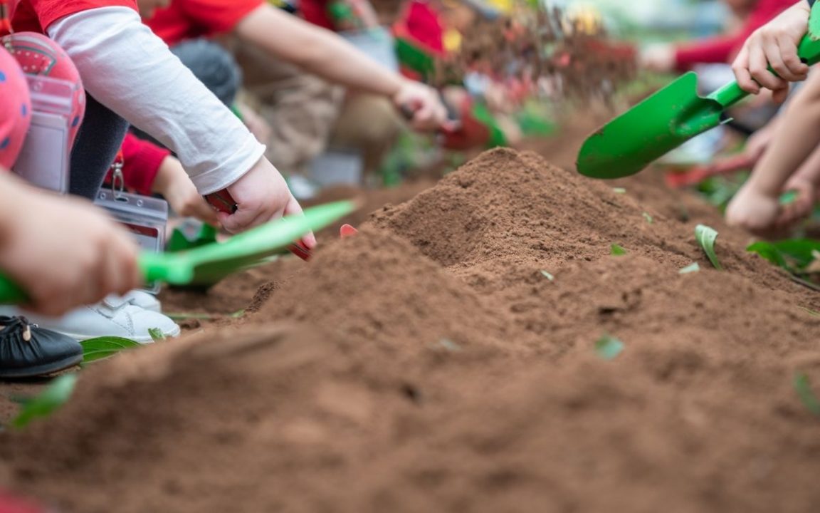 34 Types of School Clubs - The Moneywise Teacher