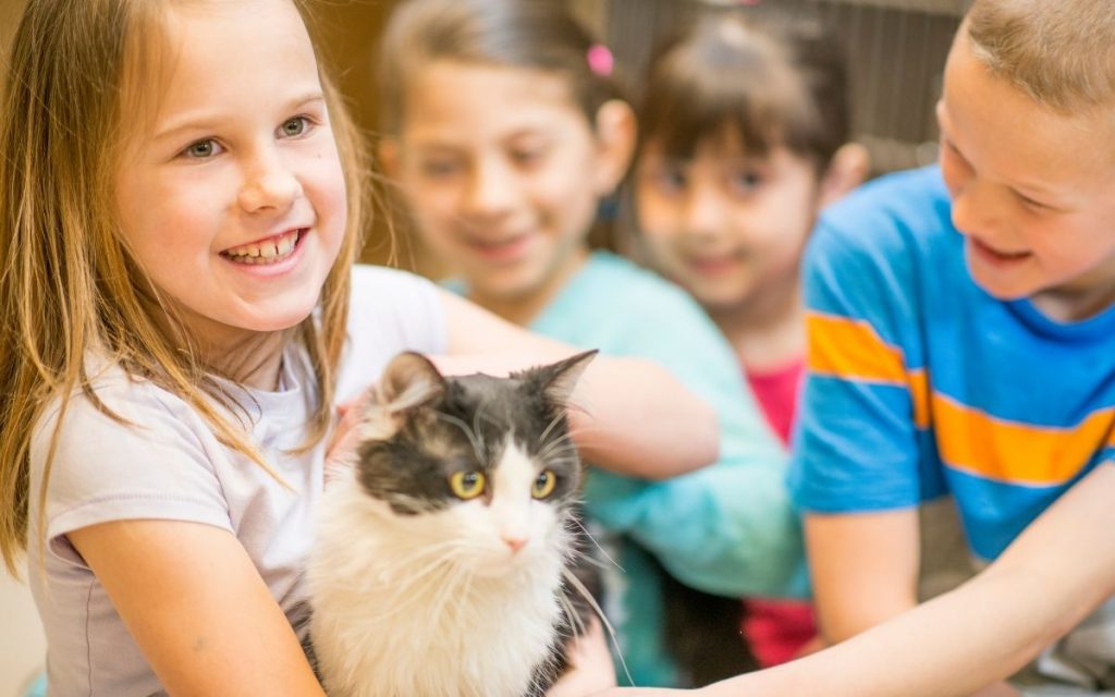 34 Types of School Clubs - The Moneywise Teacher